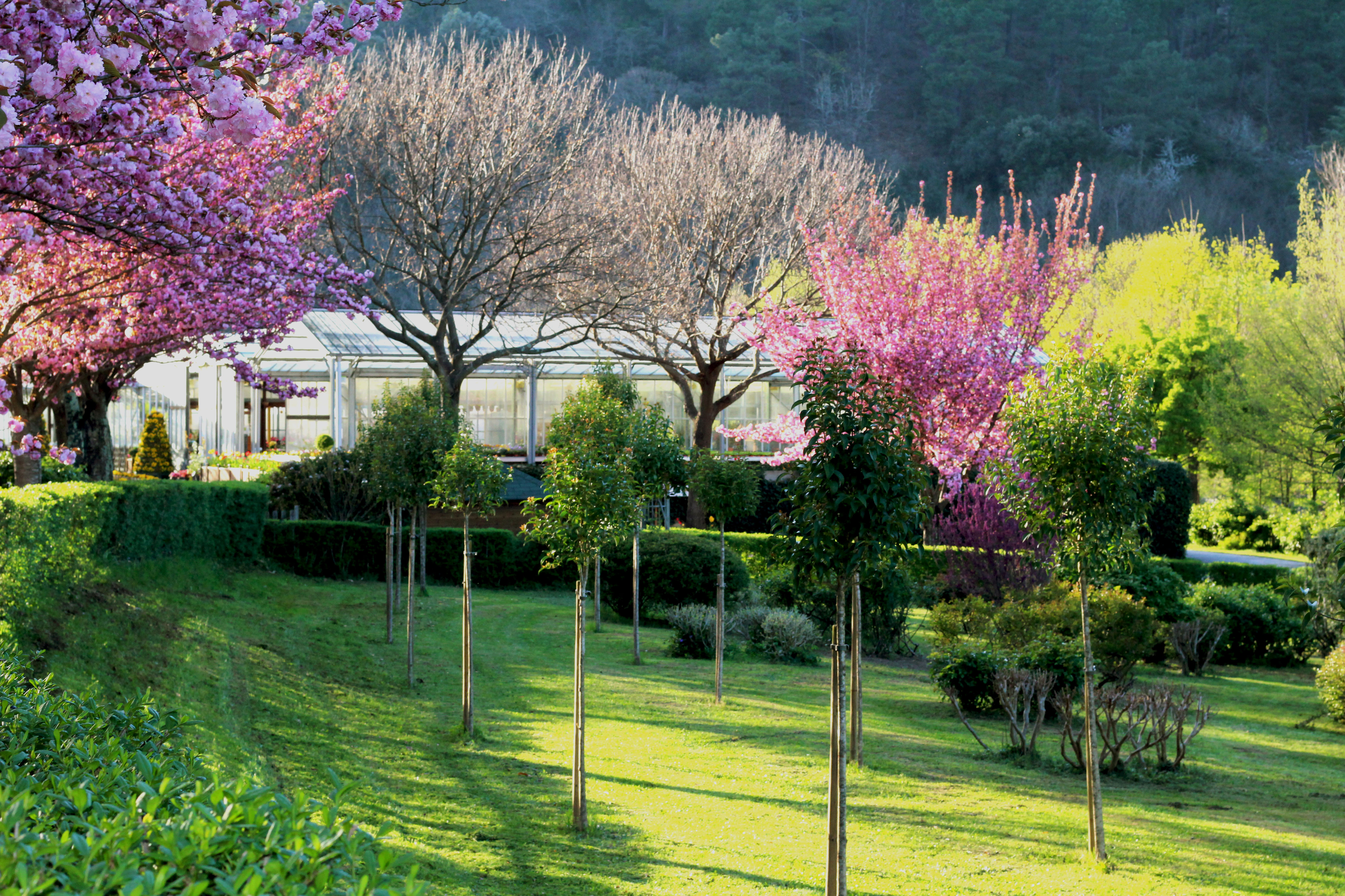 » Le jardin aux milles fleurs